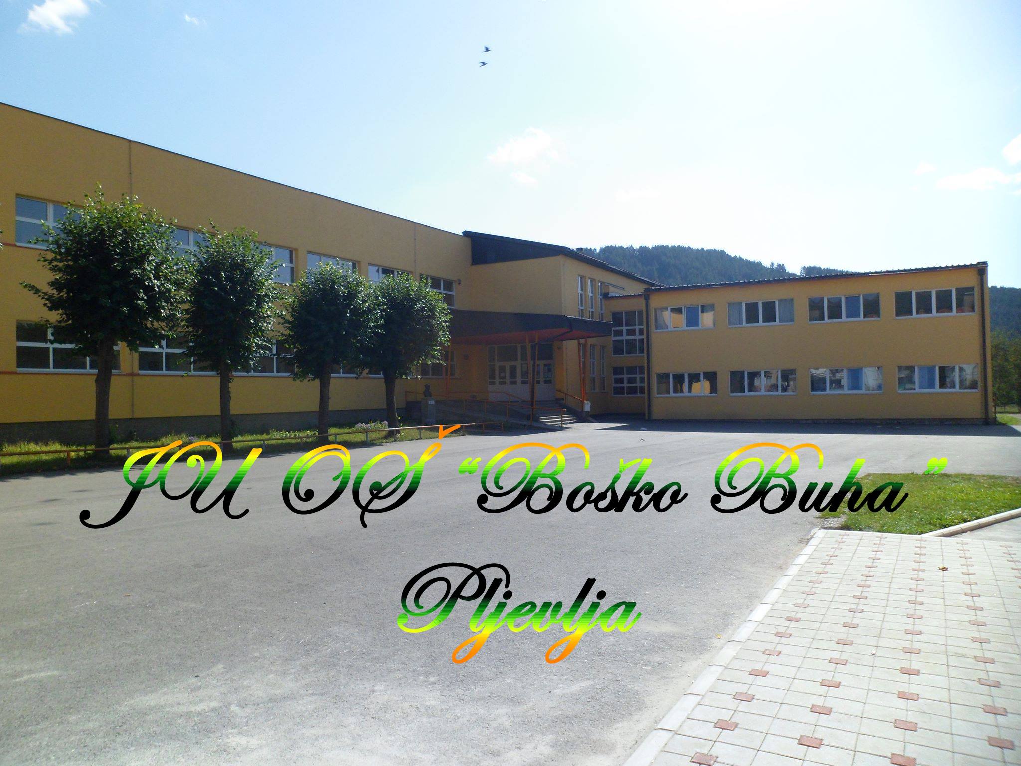 Škole – Besplatna škola odbojke